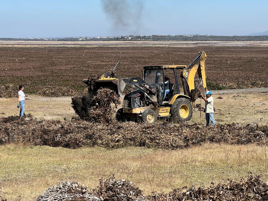 Rescue the Presa Allende | Audubon de Mexico